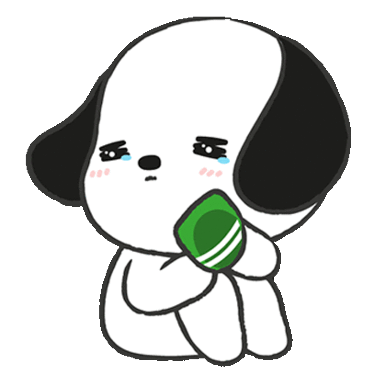 Why Is My Small Dog Shaking? - HubPages