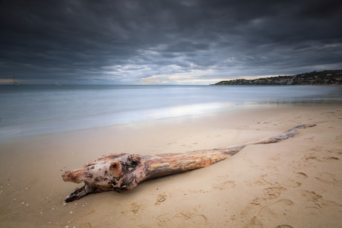 Boat Captain Saw Strange, Massive Creature in Lake Tahoe - HubPages