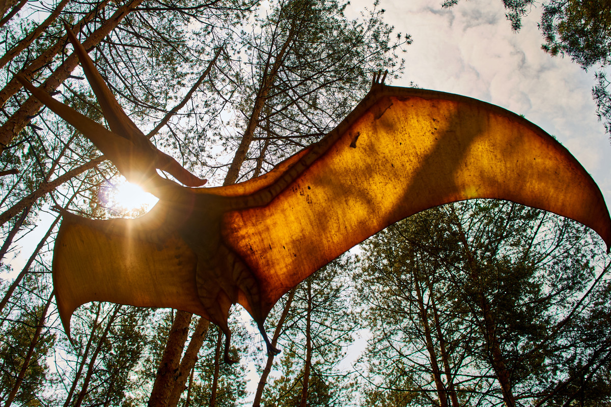 Lone Pine Devil Reptile Bird Said to Hide in the Mountains of ...