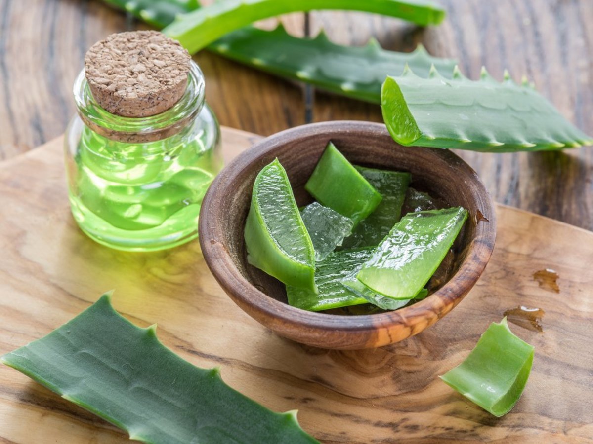 Aloe Vera: Different Benefits And How It Can Benefit Your Skin - HubPages