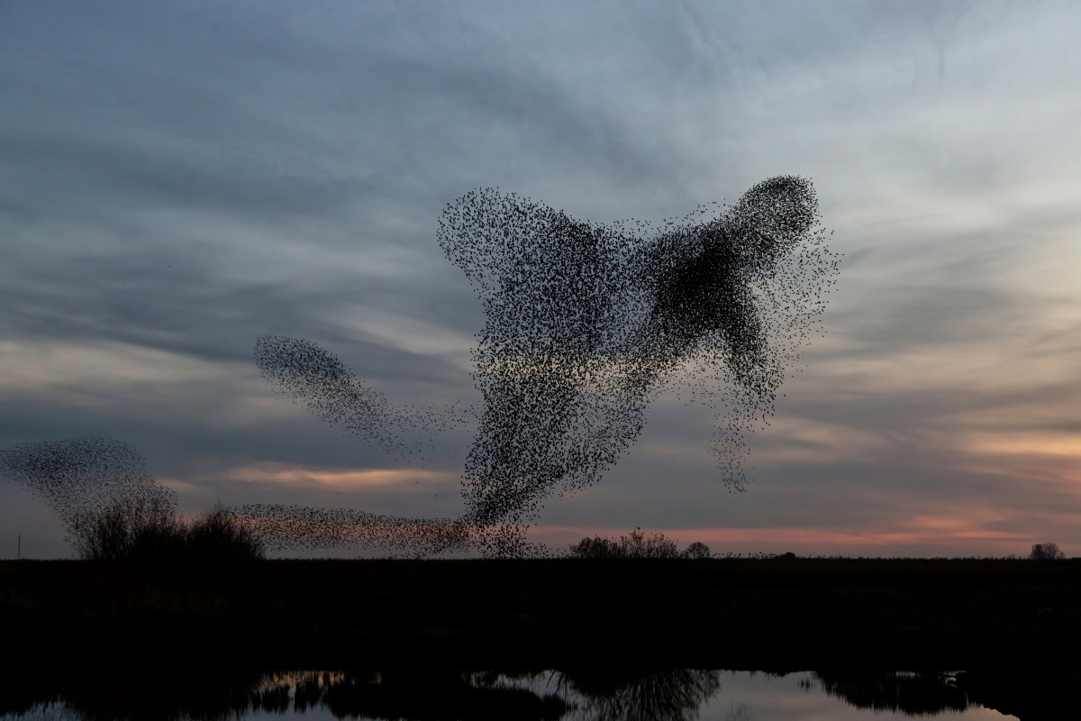 Man Certain He Caught Video of Dementor in the Sky - HubPages