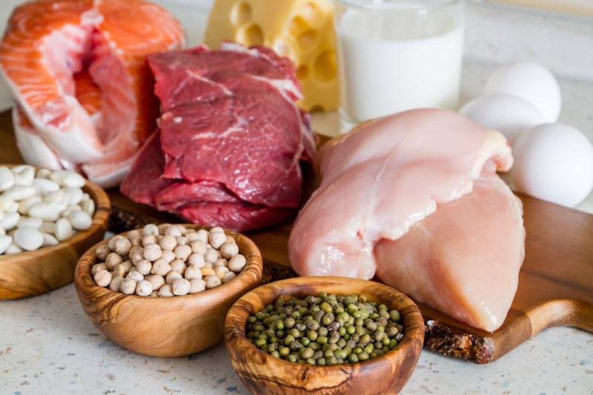 The Plant-Protein Blueprint: A Simple and Easy Guide to Getting Enough ...