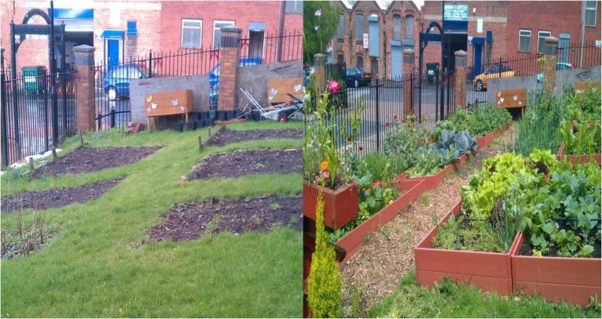 The Benefits of "Guerrilla Gardening" Around the World - HubPages