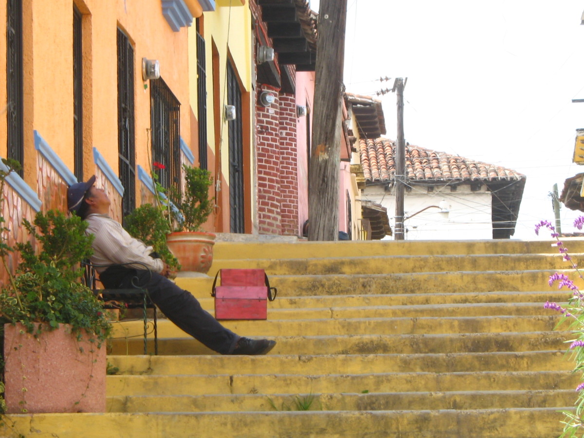 The Afternoon Nap, Siesta or Power Nap - a Scientific Explanation of ...