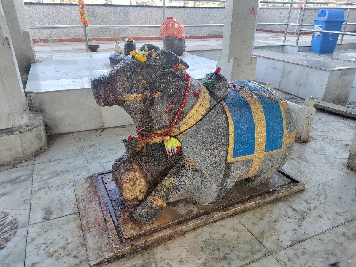 Nandi, the Vahana (vehicle) of Lord Shiva - HubPages