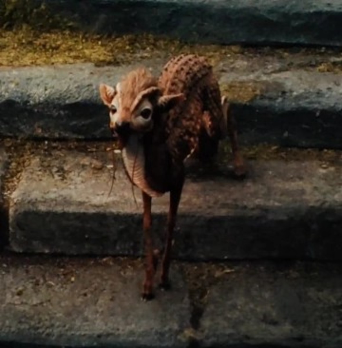 Cake's Takes on Fantastic Beasts: The Secrets of Dumbledore (Spoiler ...