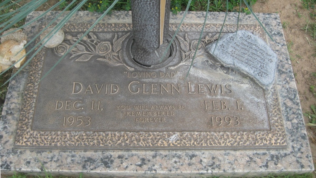 The Strange Disappearance and Death of David Glenn Lewis - HubPages