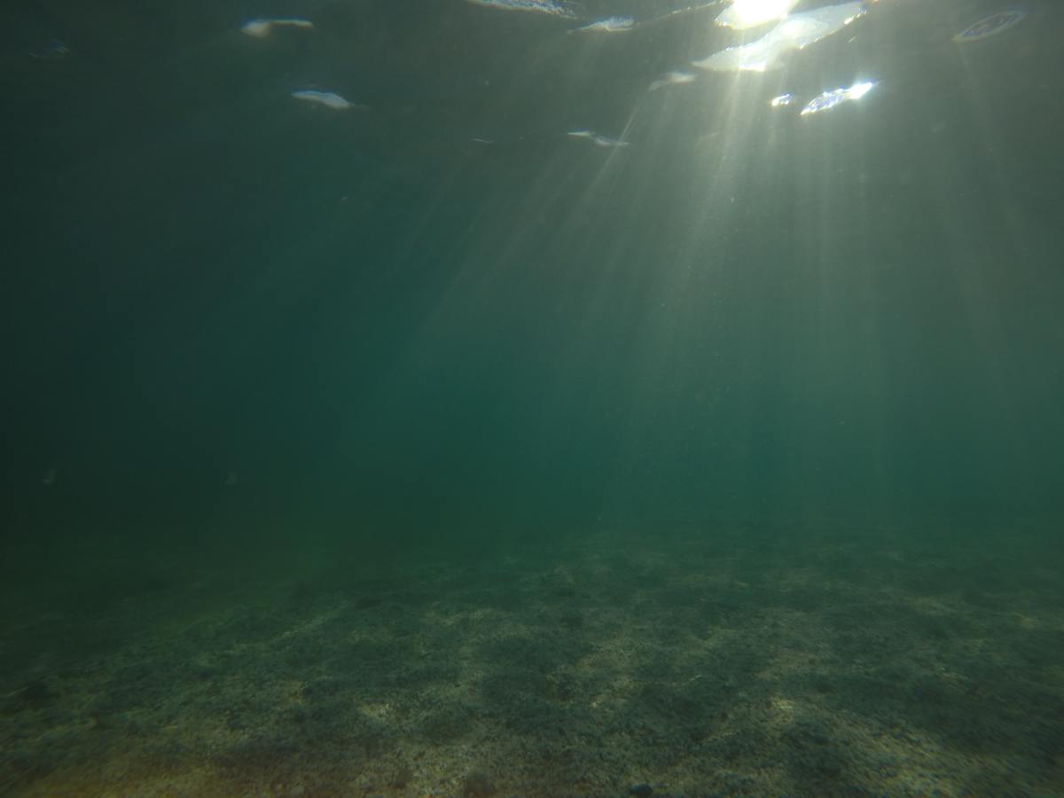 Mythical Japanese Ningen Believed to be Caught on Camera - HubPages