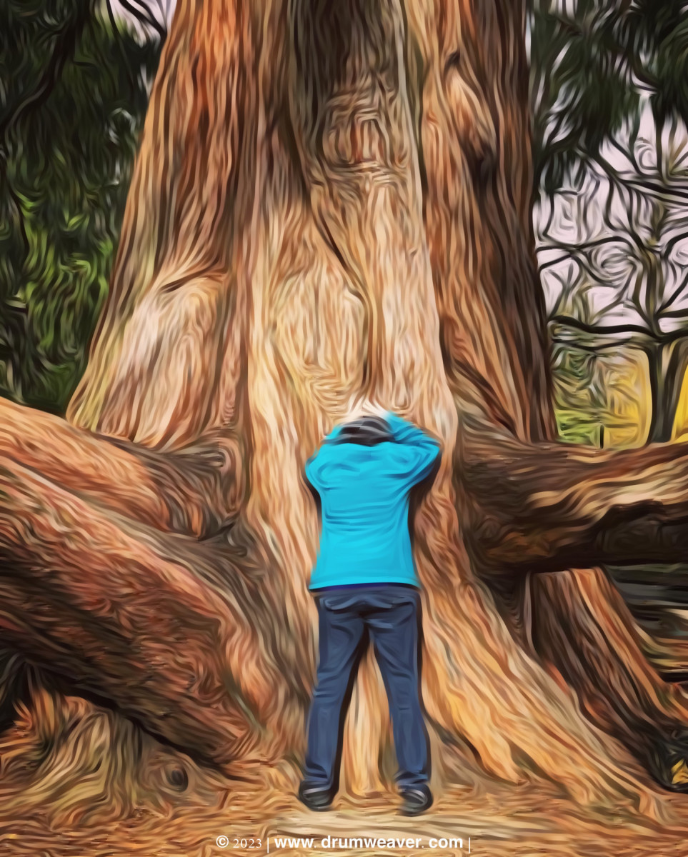 I Love Trees + 50 Inspiring Quotes About Our Trees and Forests - HubPages