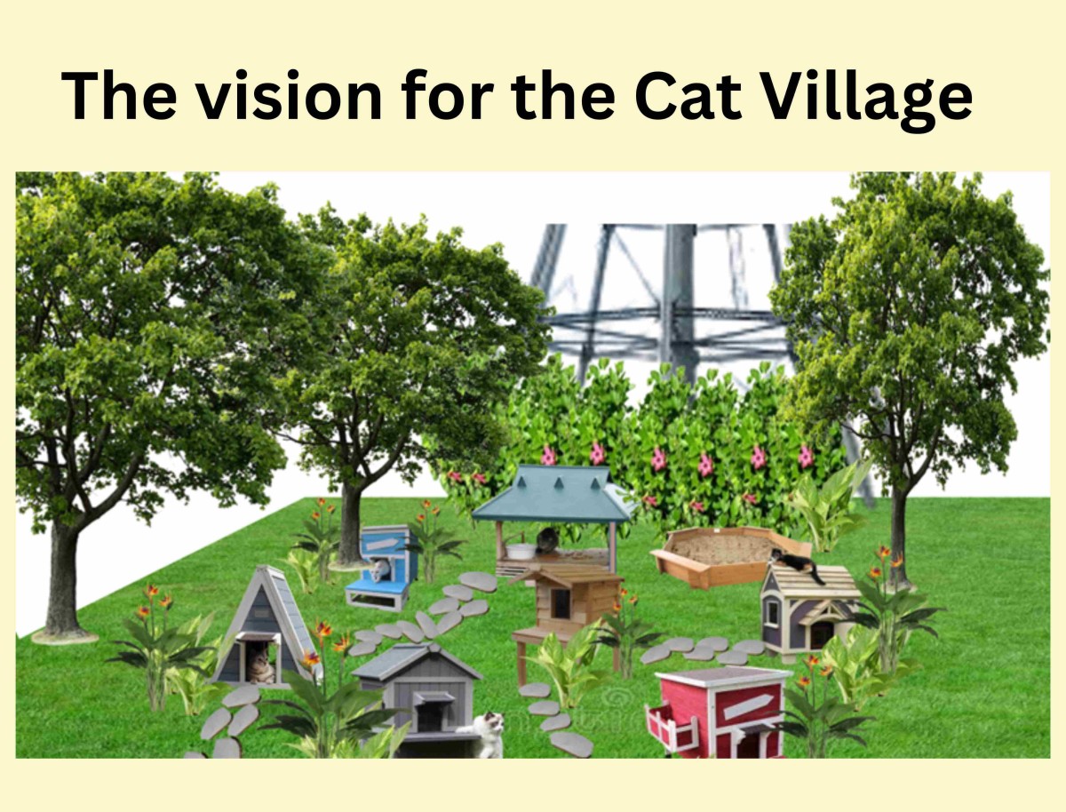 How to Make a Cat Village for Abused and Stray Cats - LetterPile
