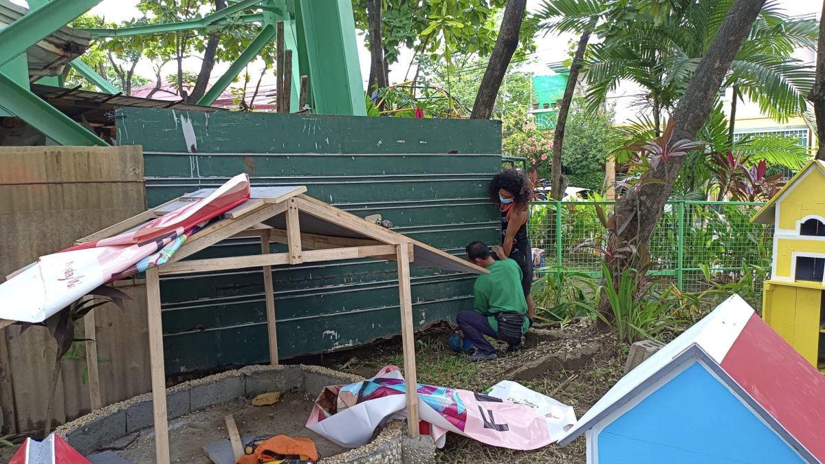 How to Make a Cat Village for Abused and Stray Cats - LetterPile