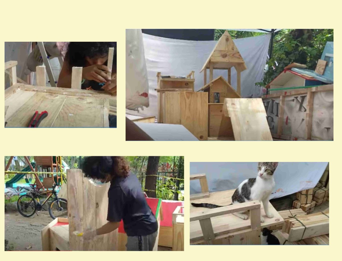 How to Make a Cat Village for Abused and Stray Cats - LetterPile