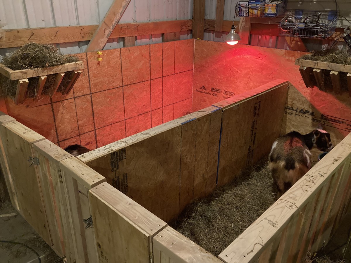 How to Make Retractable Stalls for Managing Livestock Indoors - HubPages