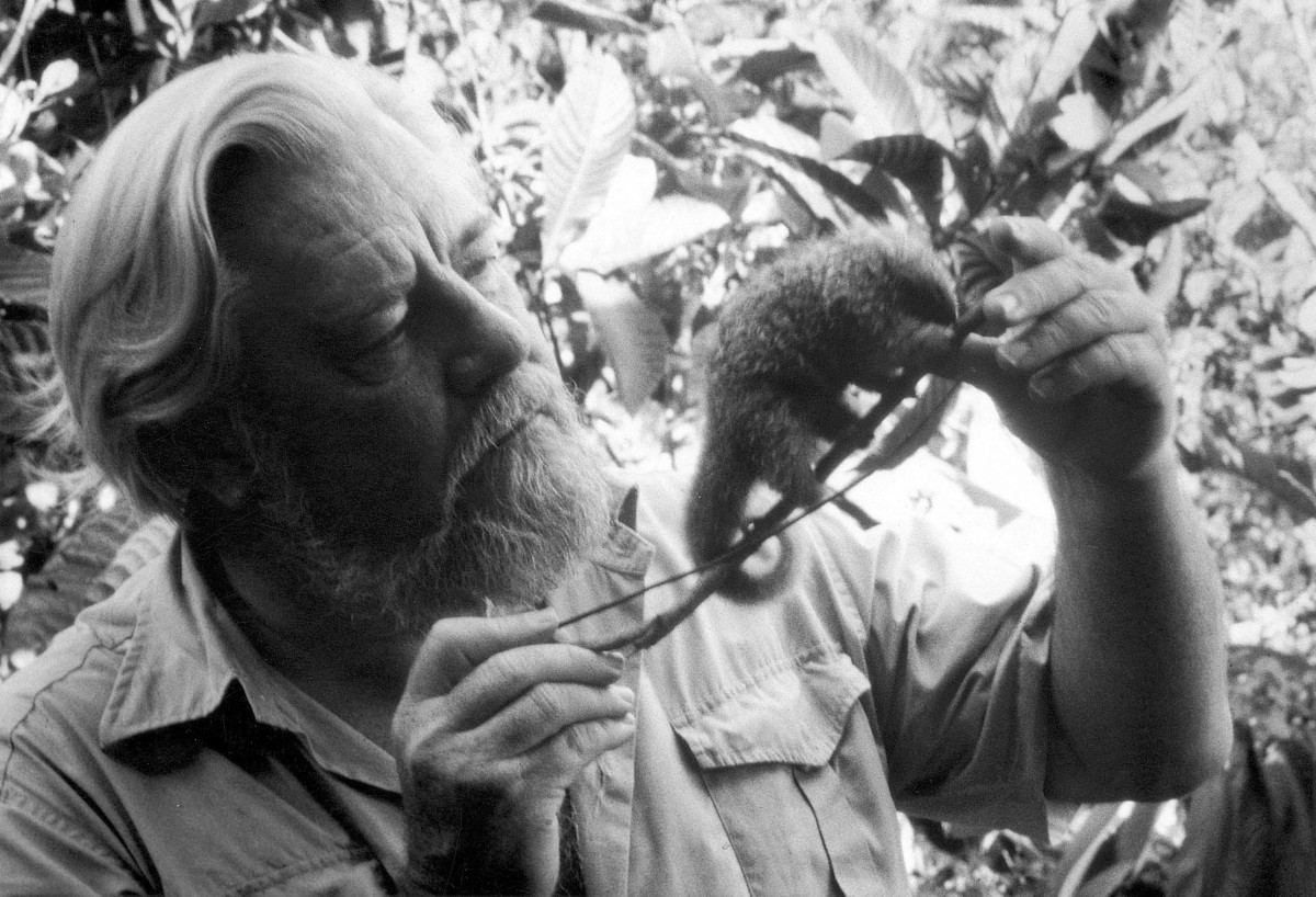 Gerald Durrell: Legend and Savior of Endangered Species - HubPages