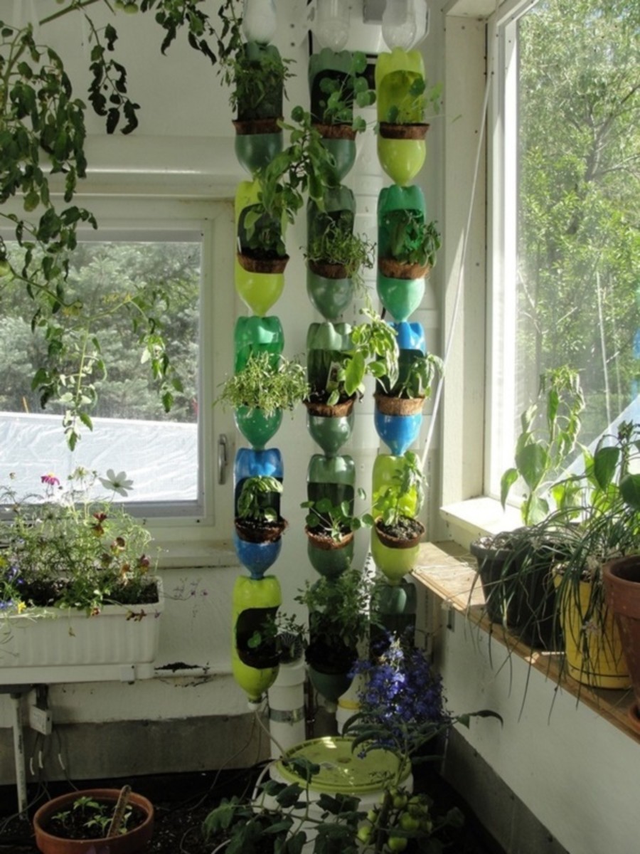 Ways to Repurpose Household Items in Your Garden - HubPages