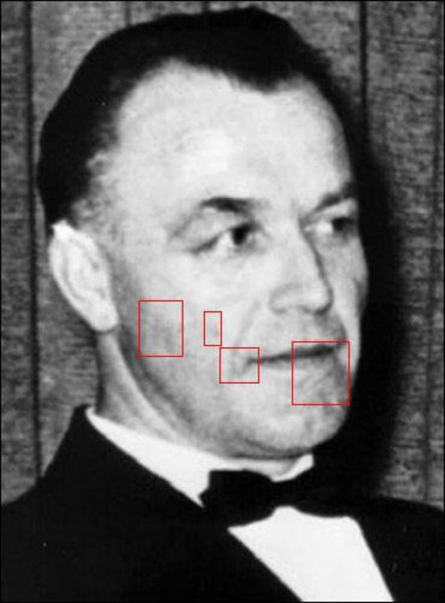 (14) The Truth...the Whole Truth & Nothing but Government Cover-ups ...