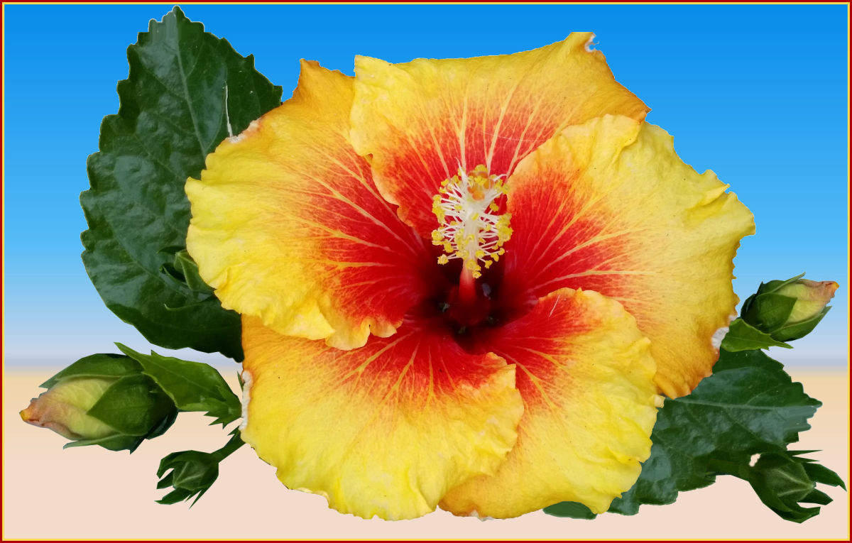 Uncovering Maui's Hidden Secrets: Discover What Most Tourists Miss ...