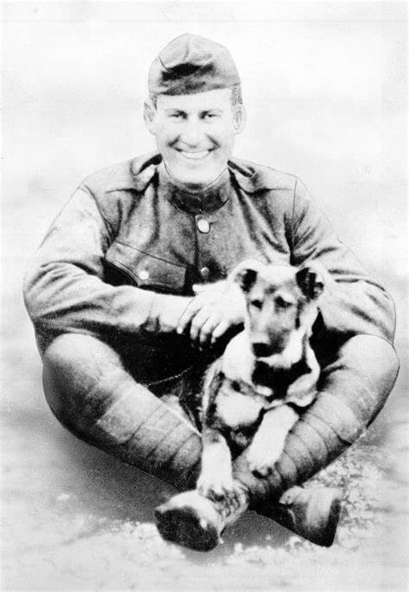 The Story of Canine Movie Legend Rin Tin Tin - HubPages