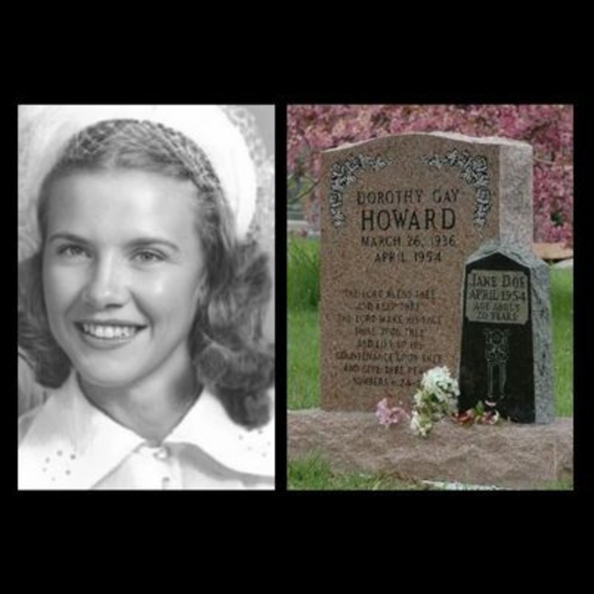 Web of Death: Cold Cases Cracked by Citizen Sleuths - HubPages