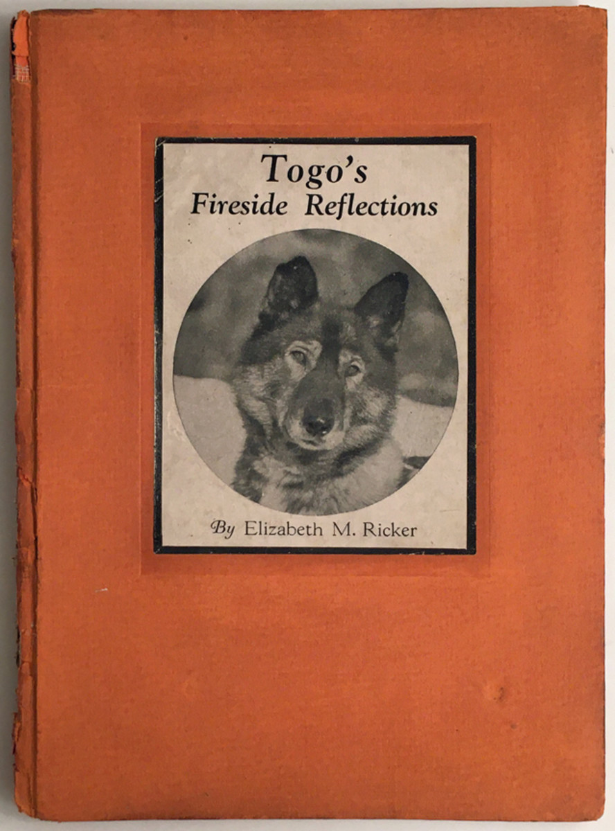 Togo: Canine Hero of 1925 Nome, Alaska Serum Run - HubPages