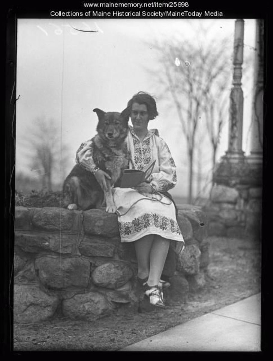 Togo: Canine Hero of 1925 Nome, Alaska Serum Run - HubPages