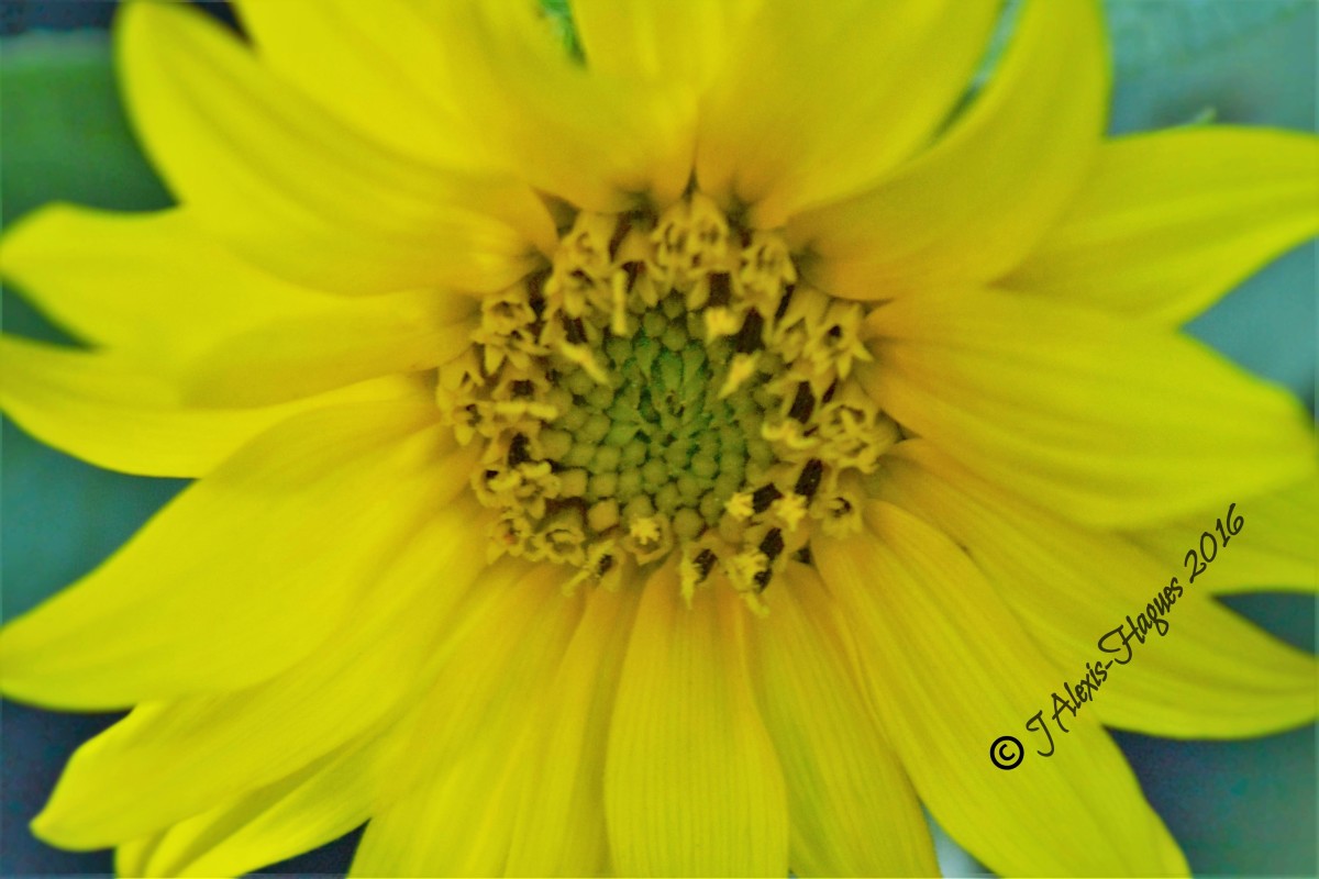 Lazy Days Of Summer Poem - HubPages