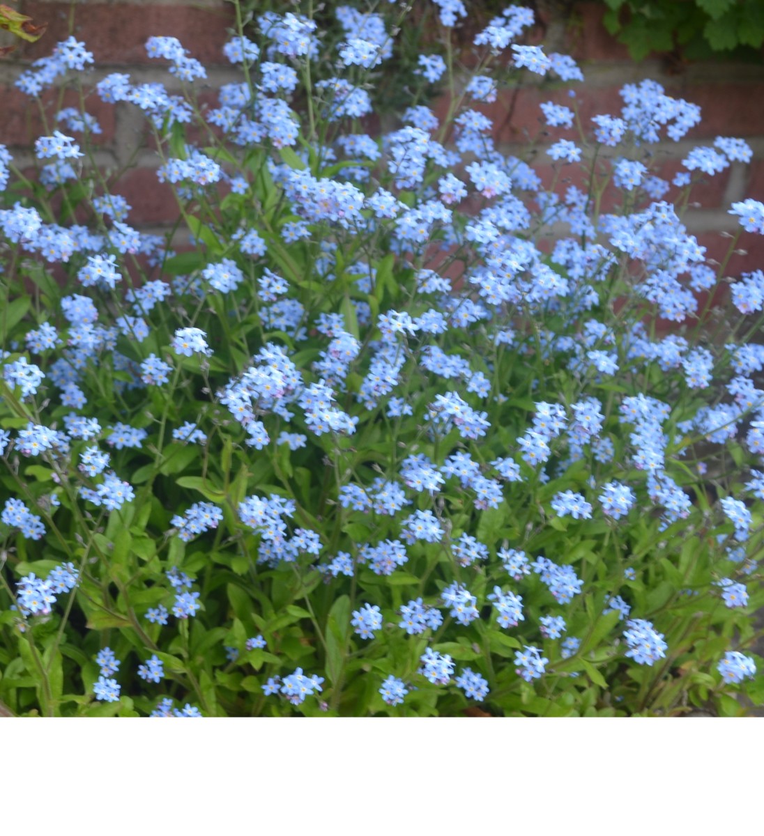 Lazy Days Of Summer Poem - HubPages