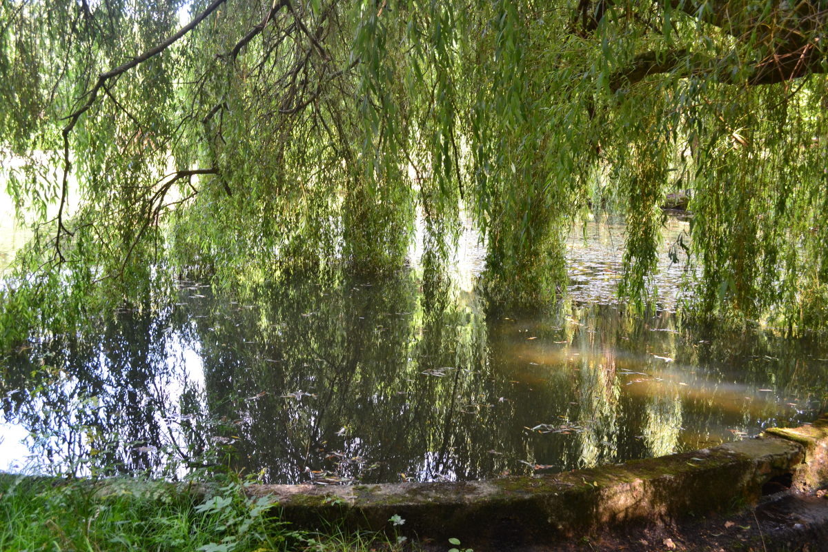 Lazy Days Of Summer Poem - HubPages