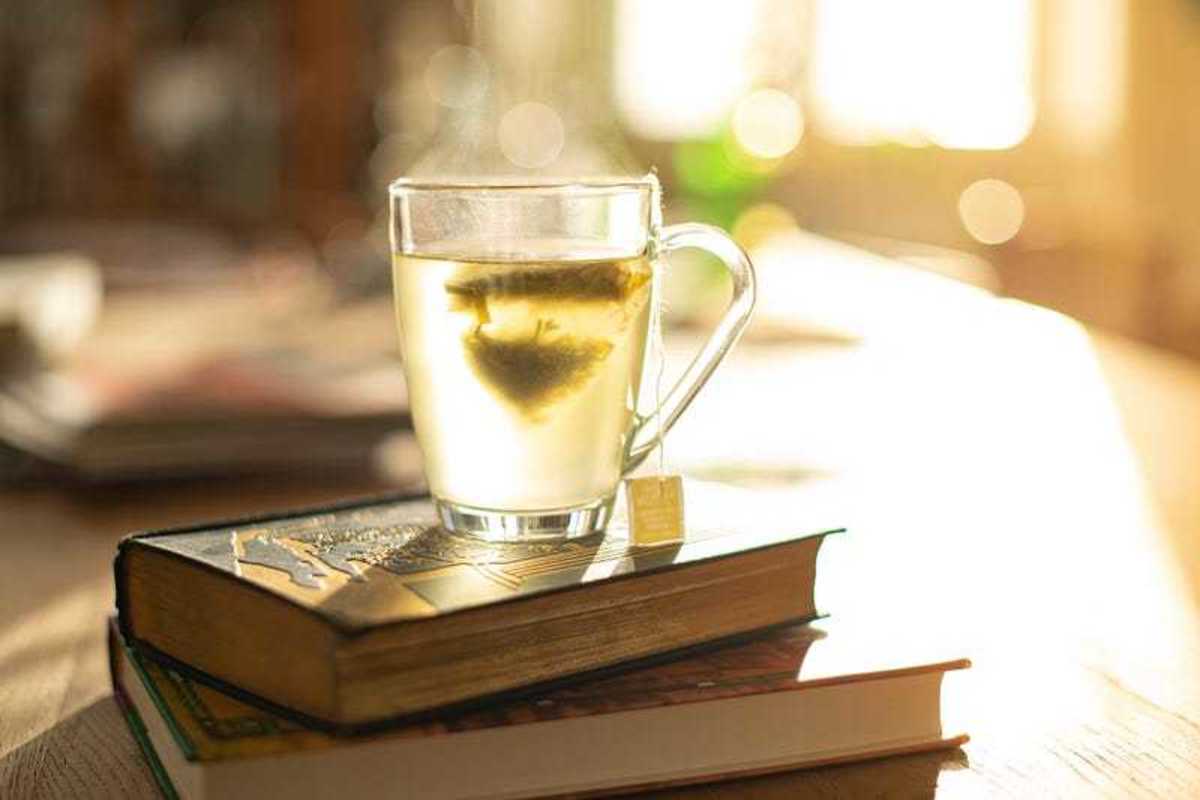 Drinking Herbal Tea Daily: 10 Surprising Benefits You Didn't Know About ...
