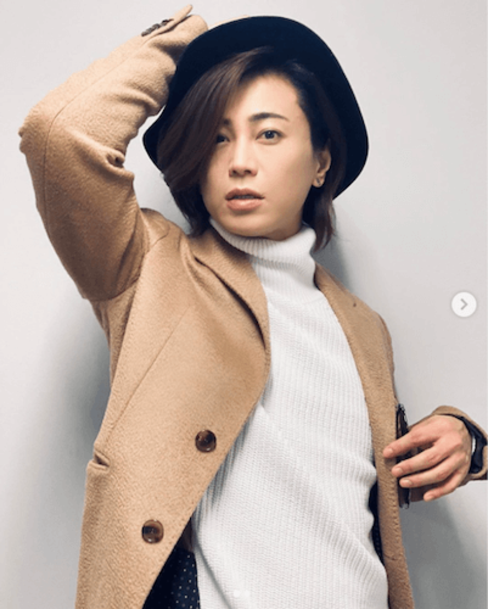 Arnold Schwarzenegger, Sylvester Stallone, and the Androgynous Male ...