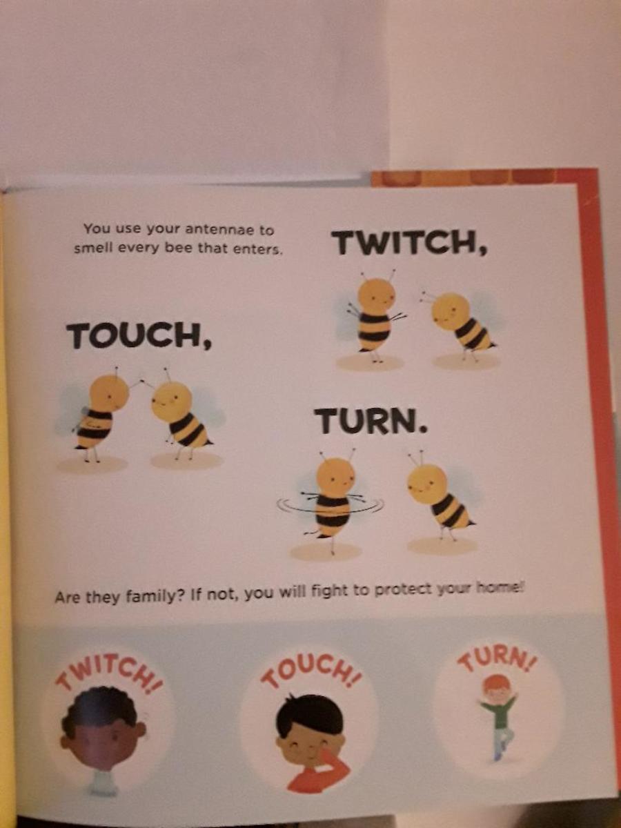 Bees and Raccoons As Part of Amazing Wildlife in Two Picture Books From ...
