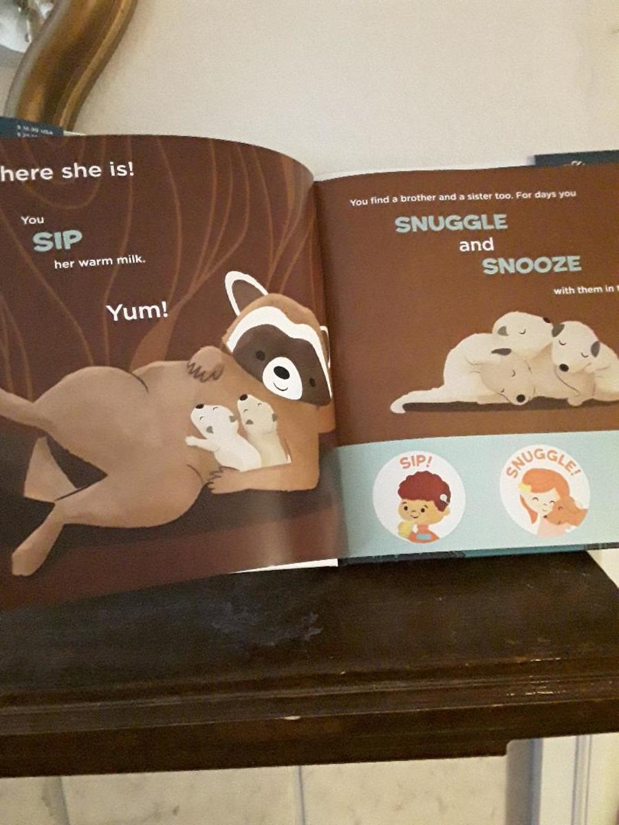 Bees and Raccoons As Part of Amazing Wildlife in Two Picture Books From ...