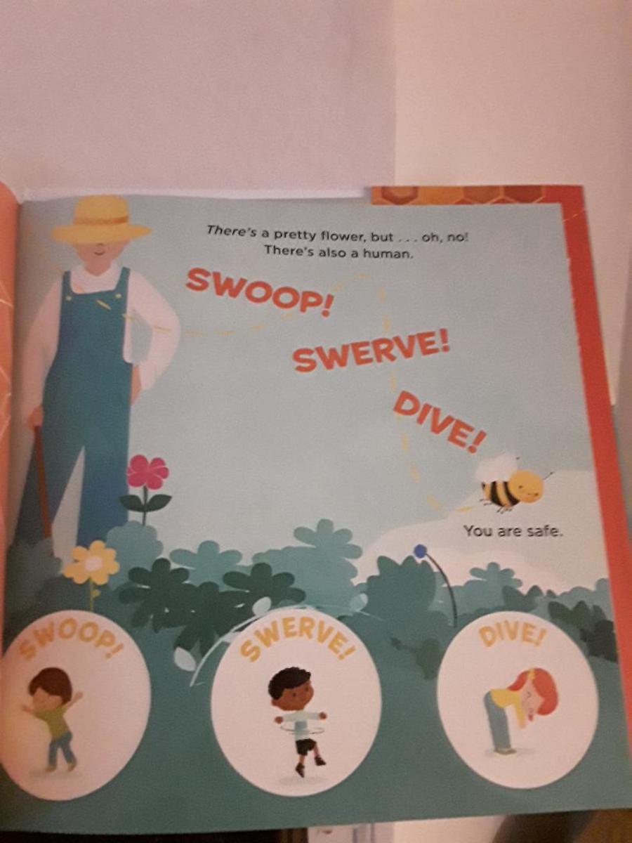 Bees and Raccoons As Part of Amazing Wildlife in Two Picture Books From ...