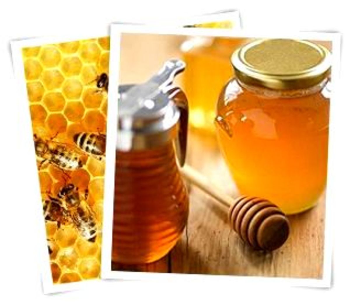 Hon-Immune (Tm): An Immunity Blend That Everyone Should Have in Their ...