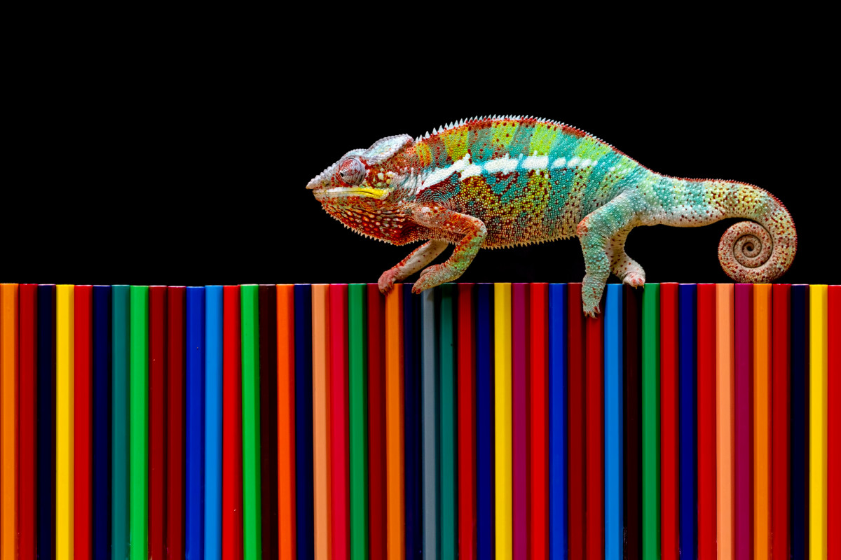 Woman Shows off the World’s First Color Changing Car - HubPages