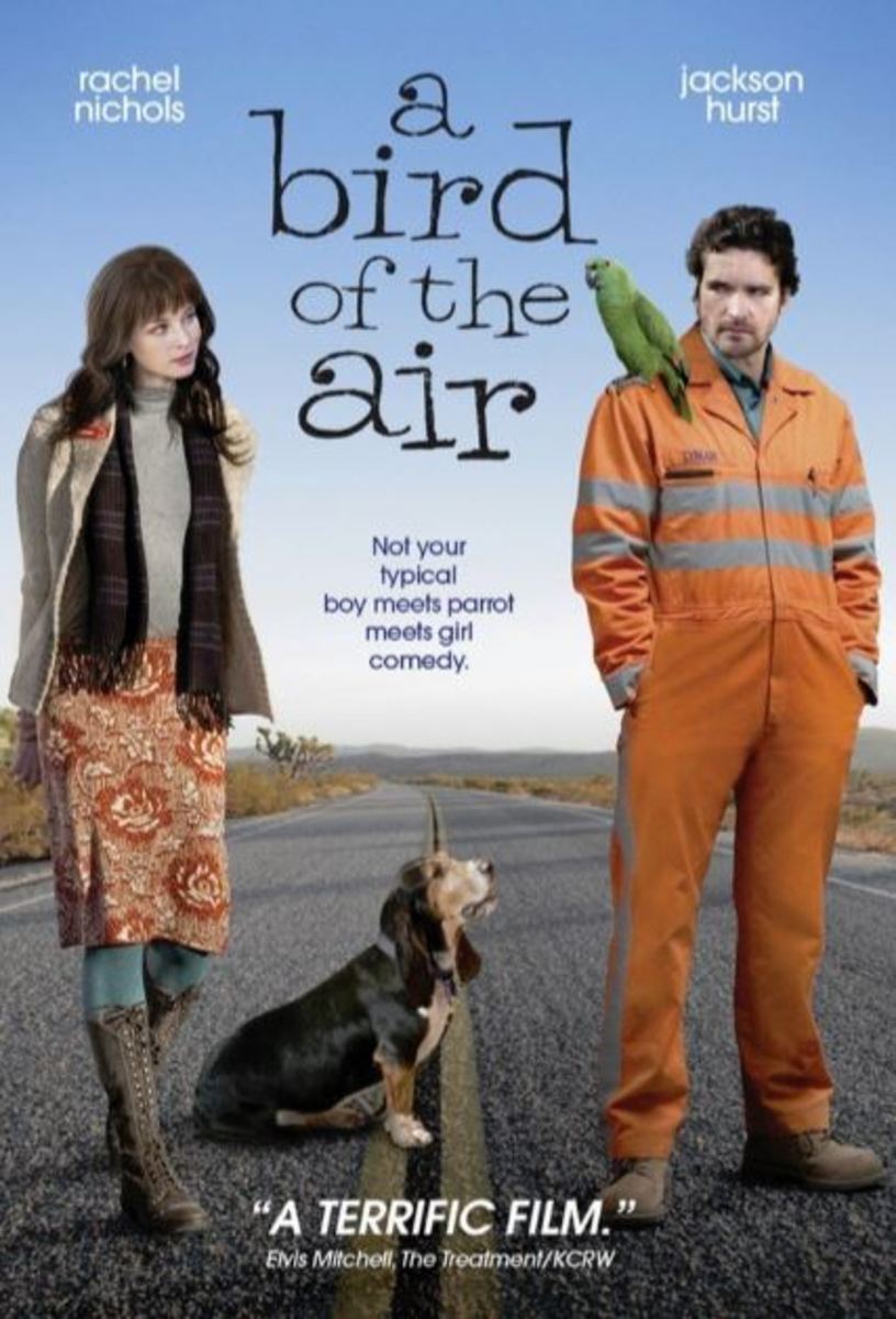 Colorful Oscar the Parrot Lives in Movies - HubPages