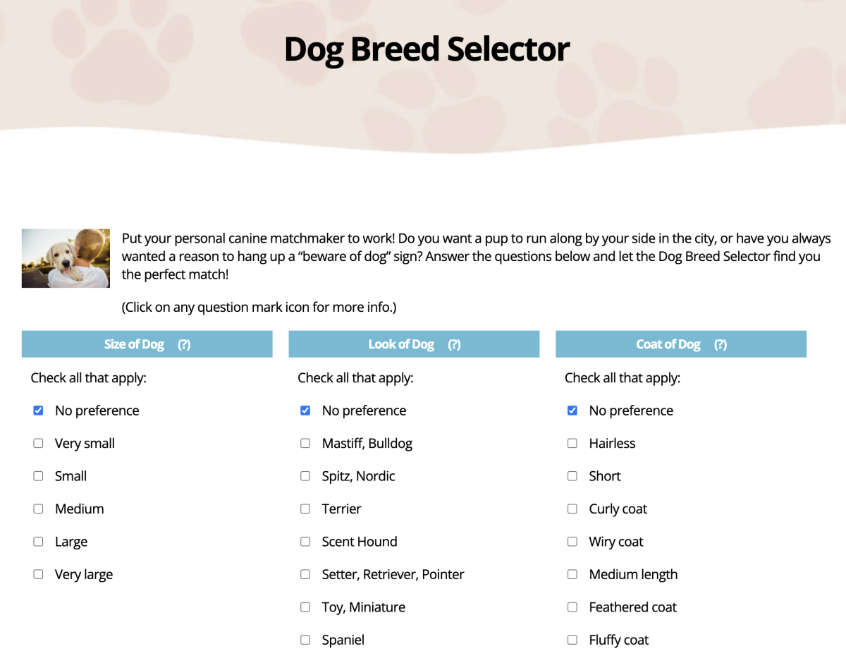 ChatGPT versus Bing - Which Should You Believe? - HubPages