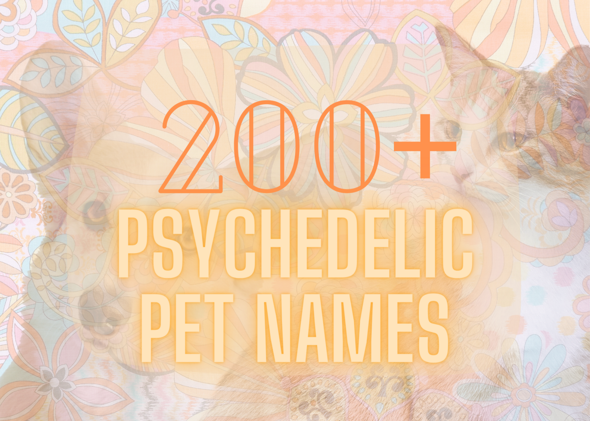 200+ Psychedelic Pet Names - HubPages