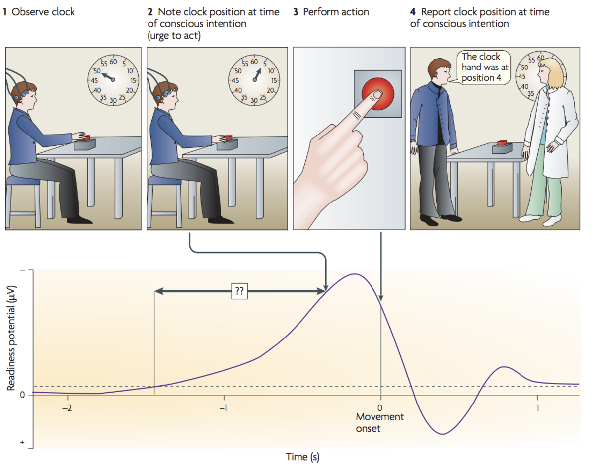 The Power of Your Subconscious Mind - Owlcation