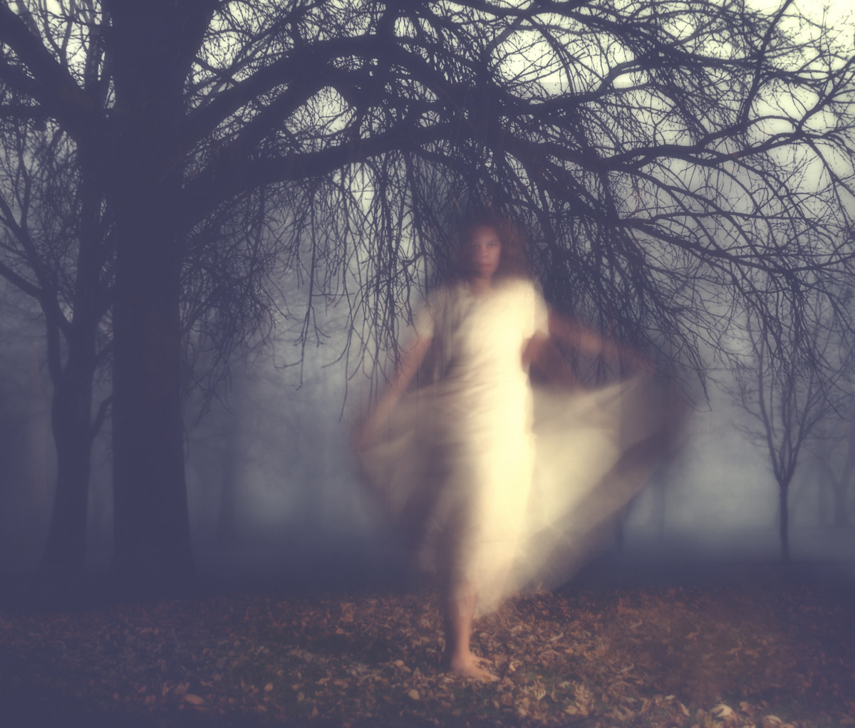 California Landscaper Notices Something Strange in Vacant House - HubPages