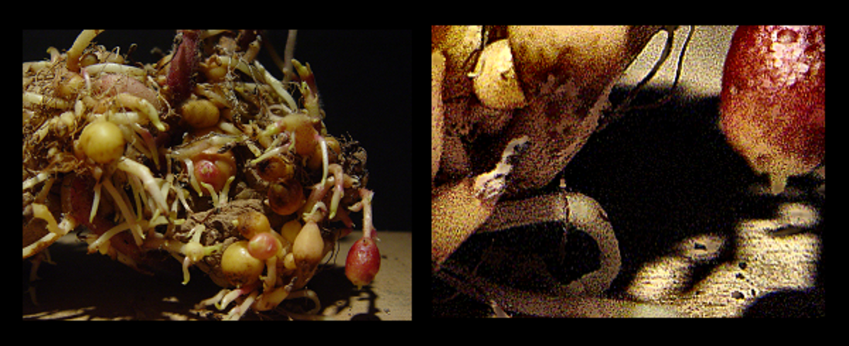 Abstraction in Photography - HubPages