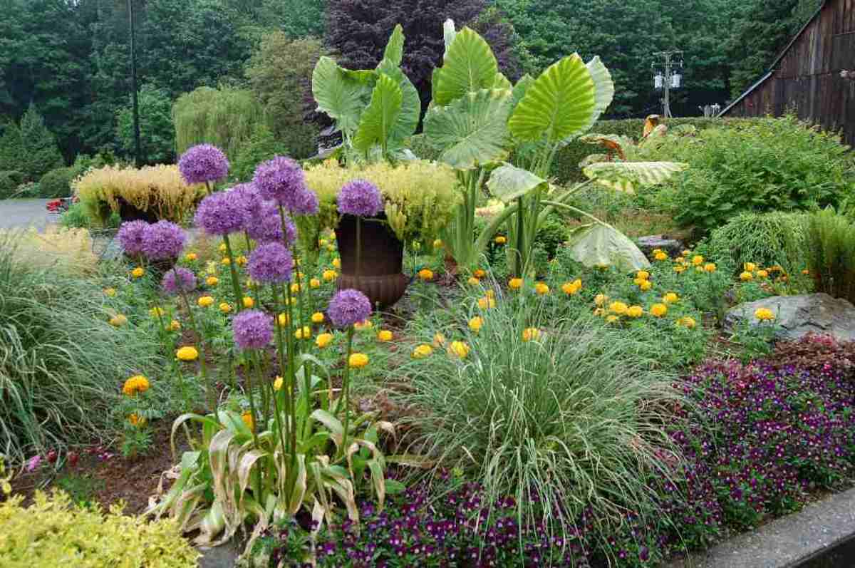 Five Gardening Lessons Learned at Minter Gardens in British Columbia ...