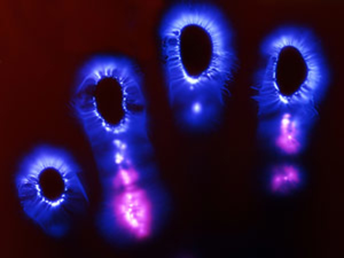 ESP or Extrasensory Perception - HubPages