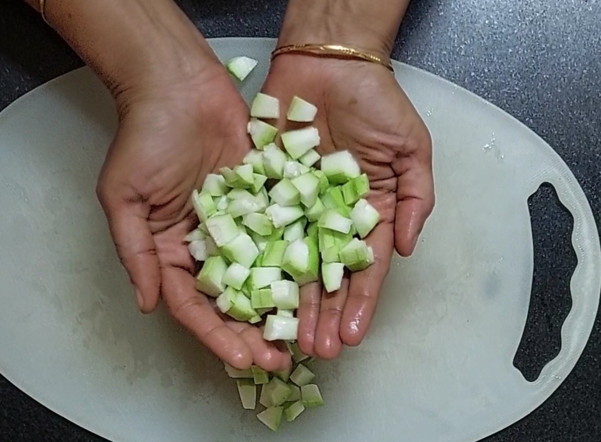 2 Spongy, Soft and Porous Dosas - HubPages