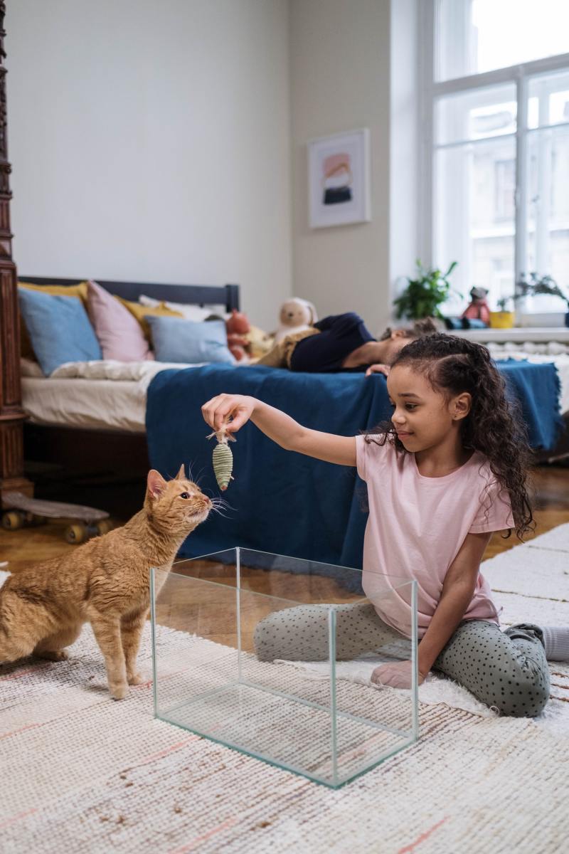 Teaching a Young Child How to Interact With a Cat - HubPages