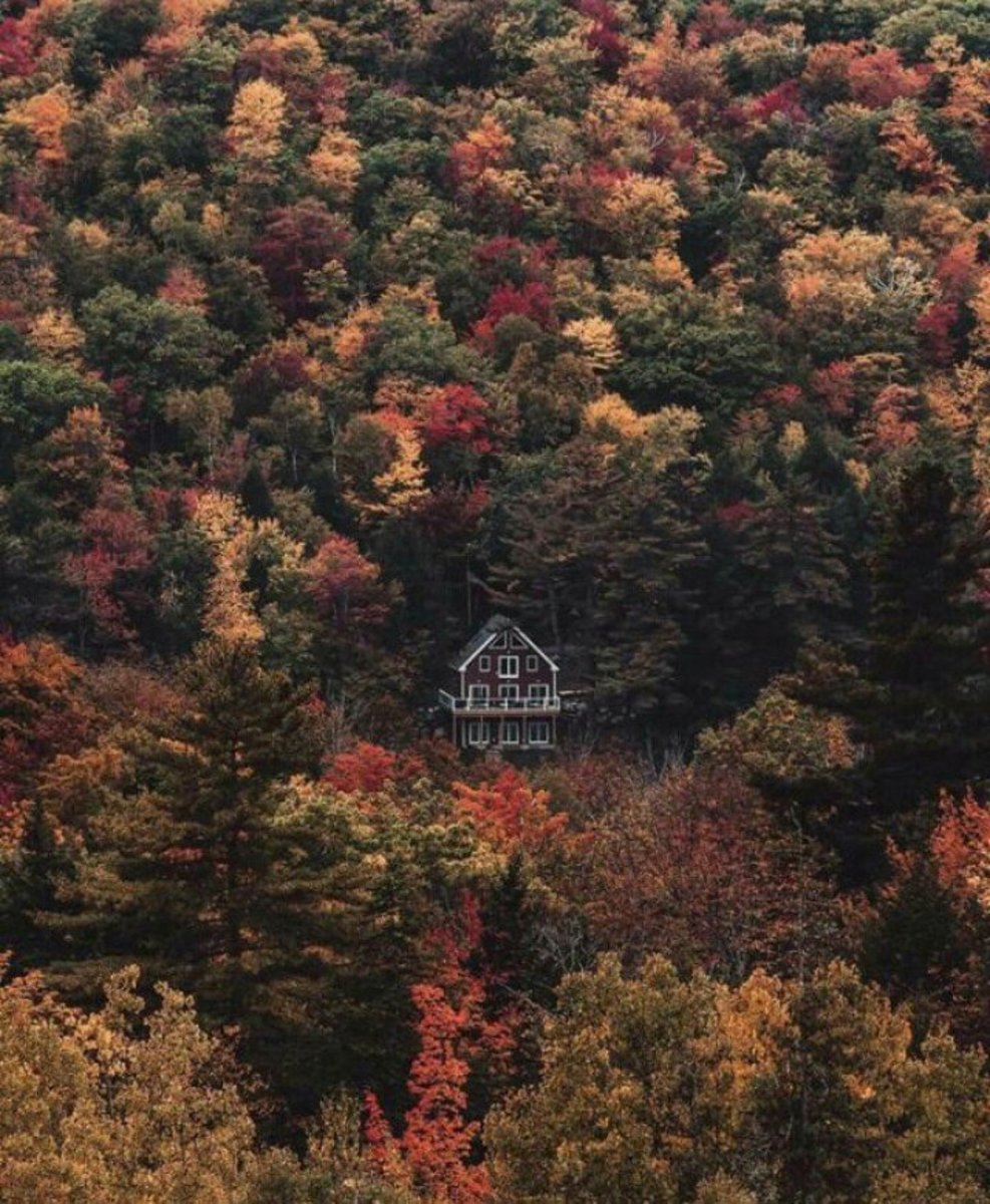 Why Do You Need to Create Country Vibes in Your Modern World? - HubPages