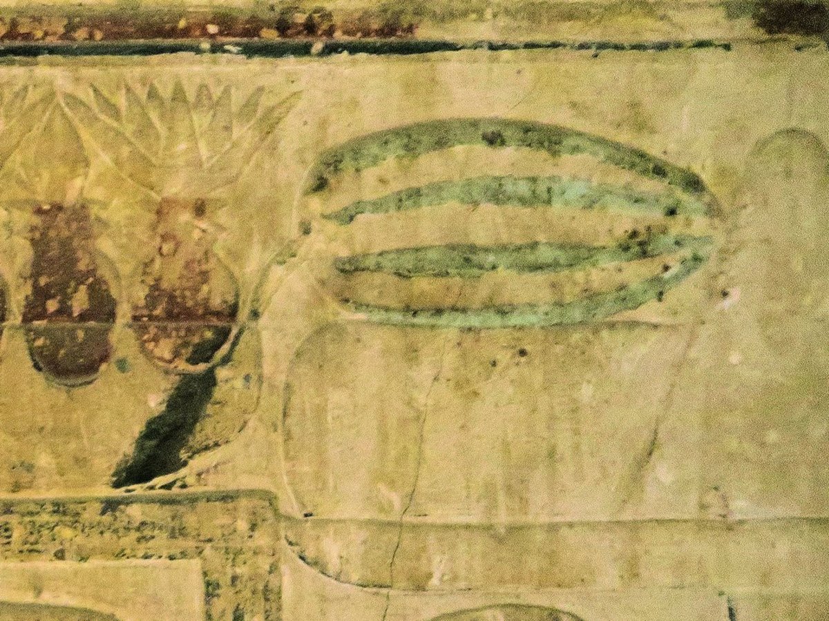 A Step-by-Step Guide for Planting Watermelons - HubPages