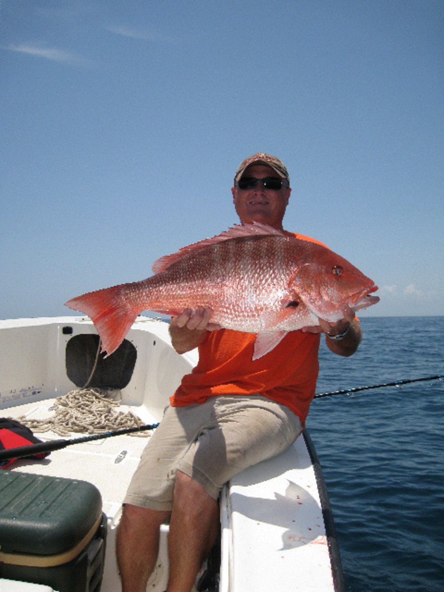 Red Snapper Fishing: Restrictions, Population Rebound, and a Personal ...