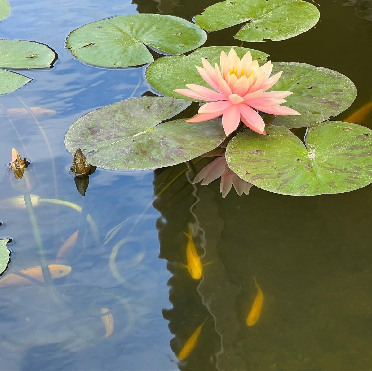 Five Easy Ways to Reboot Your Mind, Body and Spirit - HubPages