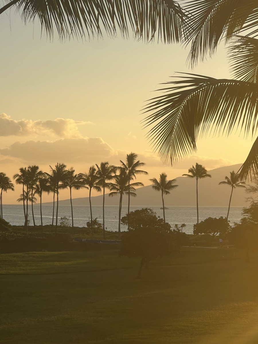 Five Easy Ways to Reboot Your Mind, Body and Spirit - HubPages